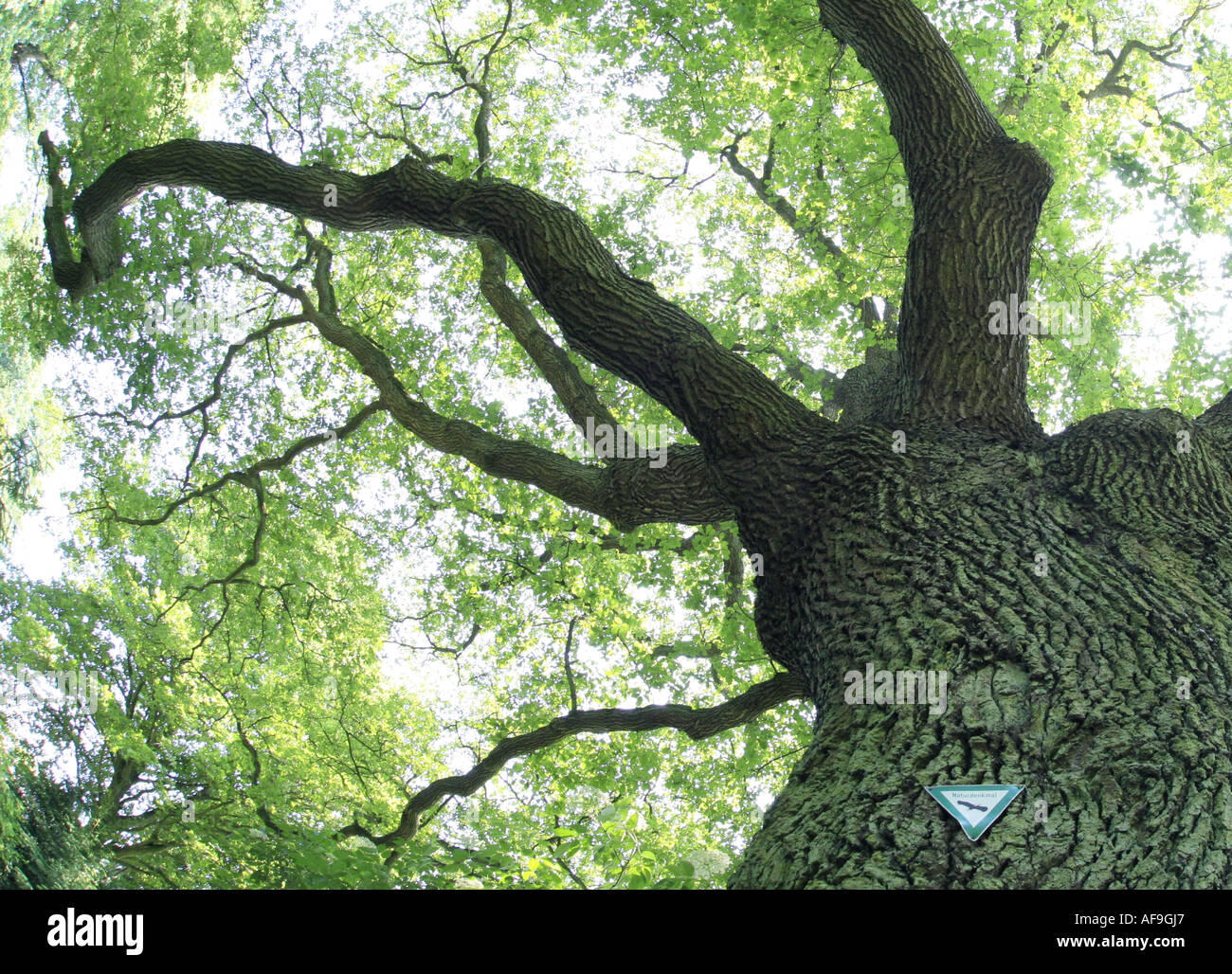 English summer season old photos hi-res stock photography and images ...