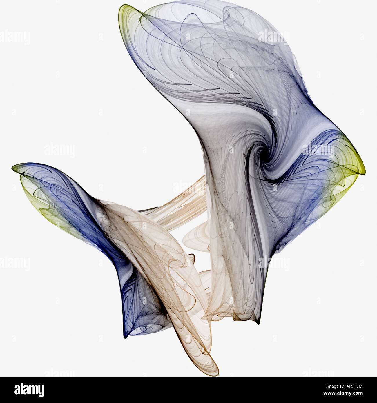 Black and white angel fish hi-res stock photography and images - Alamy