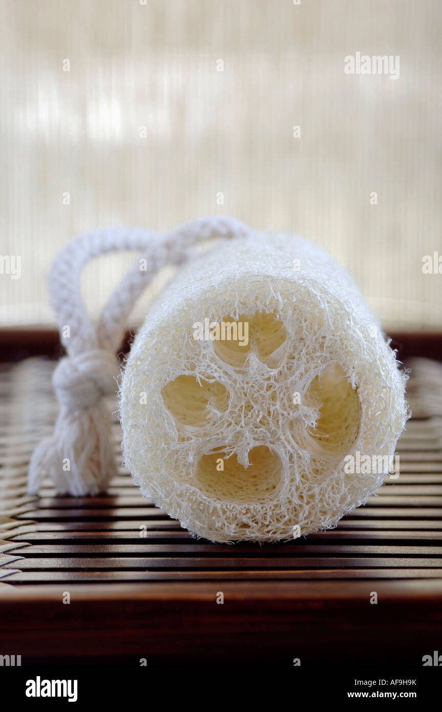^Loofah sponge, close-up Stock Photo - Alamy