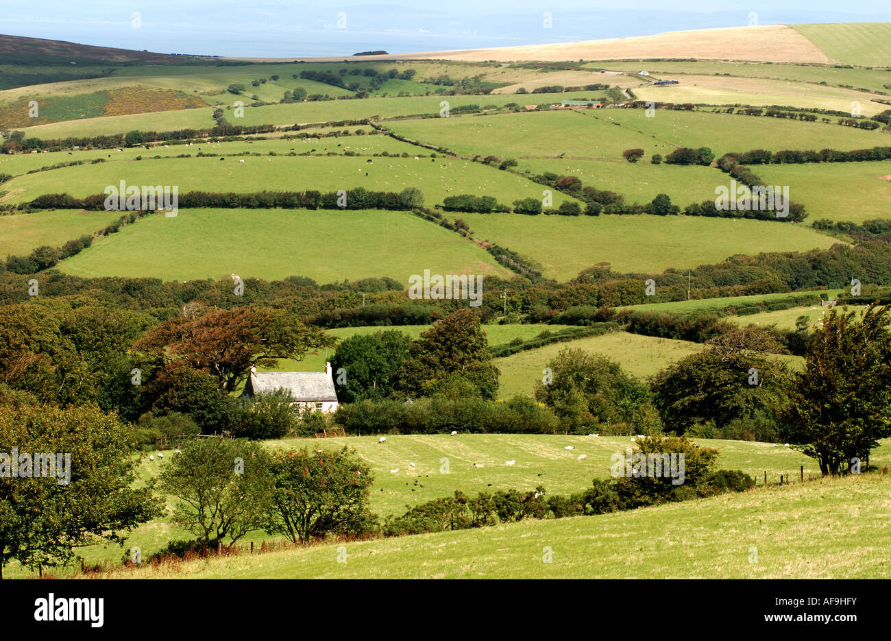 Exmoor landscape near Brendon, Devon, England, UK Stock Photo - Alamy