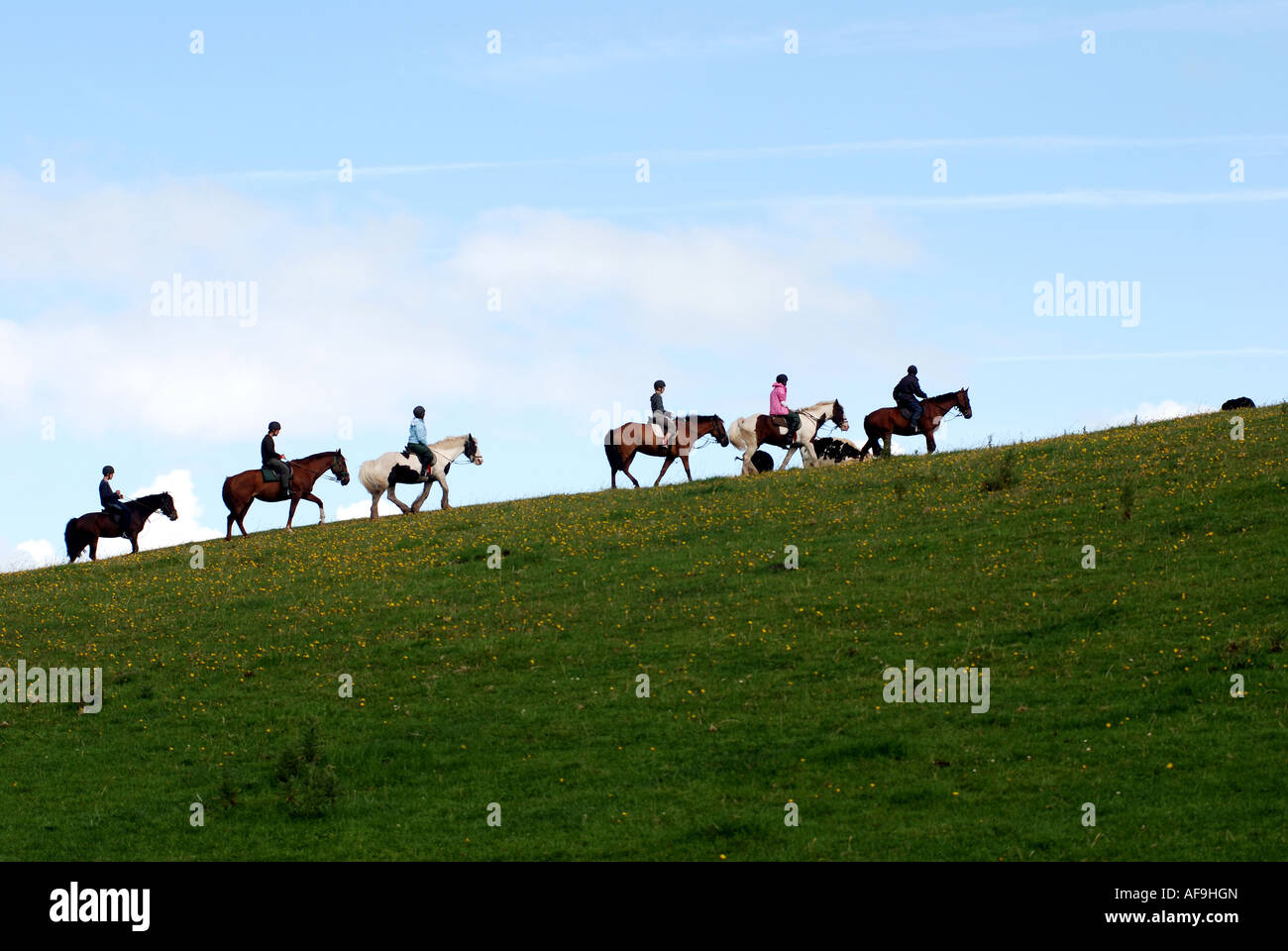Pony trekkers on Brendon Common, Exmoor, Devon, England, UK Stock Photo ...