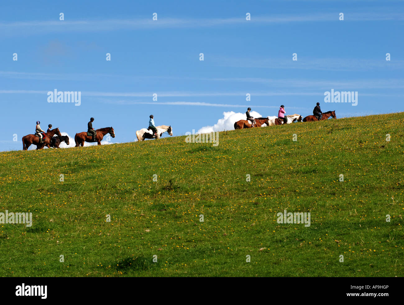 Pony trekkers on Brendon Common, Exmoor, Devon, England, UK Stock Photo ...