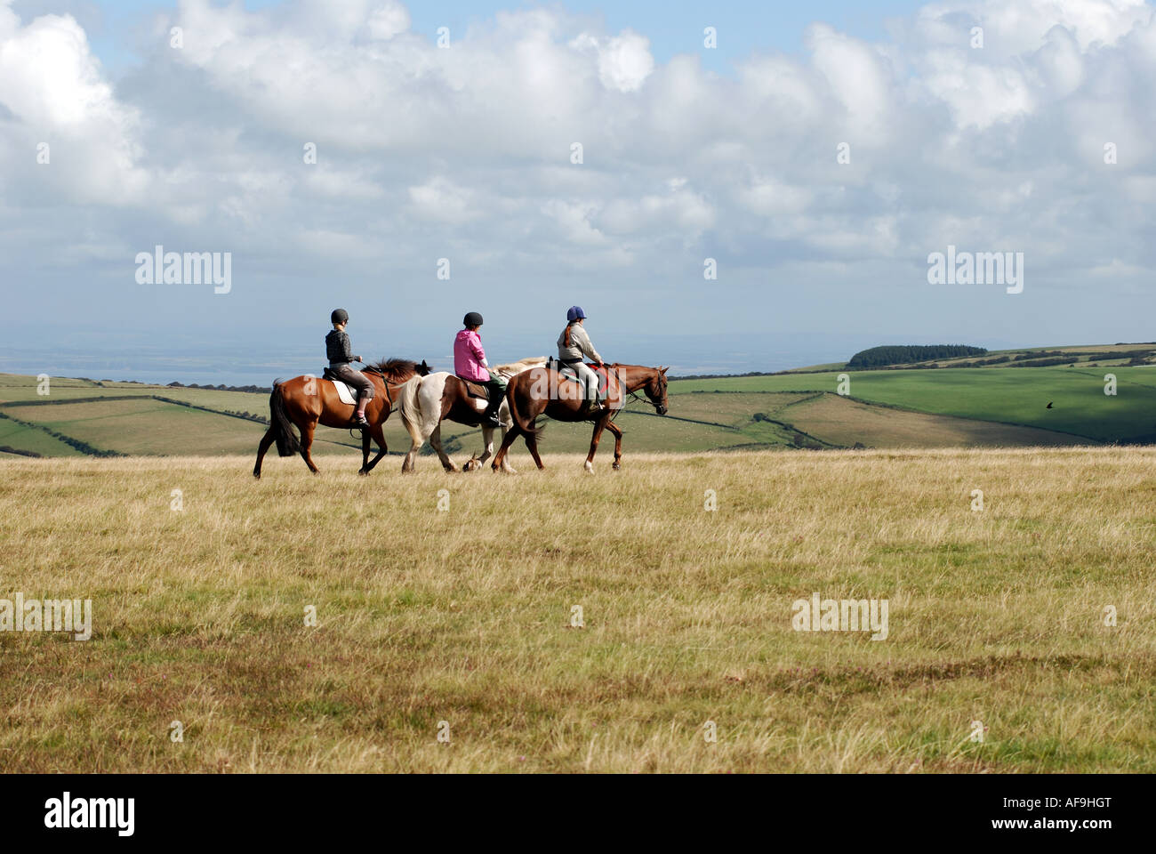 Pony trekkers on Brendon Common, Exmoor, Devon, England, UK Stock Photo ...