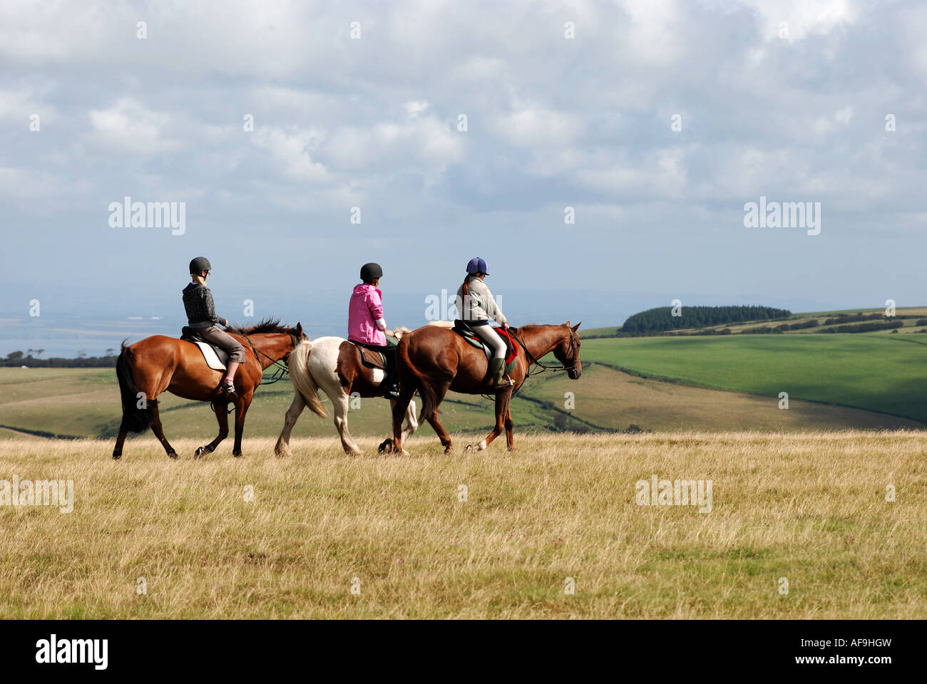 Pony trekkers on Brendon Common, Exmoor, Devon, England, UK Stock Photo ...