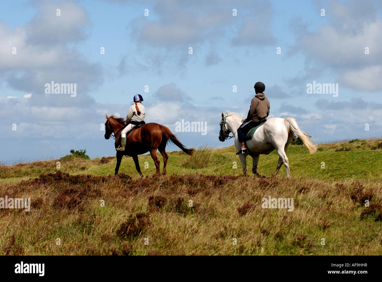 Pony trekkers on Brendon Common, Exmoor, Devon, England, UK Stock Photo ...