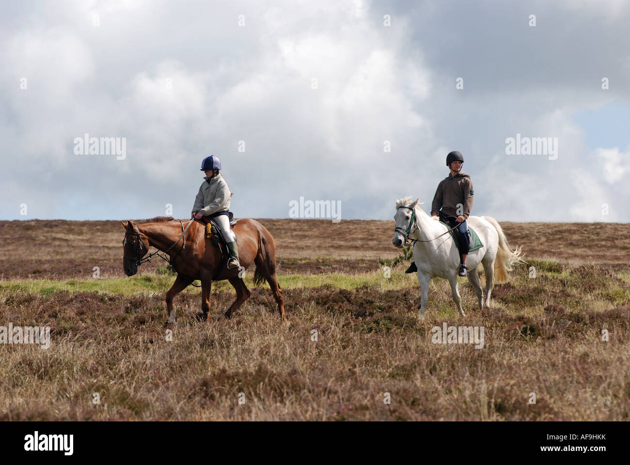 Pony trekkers on Brendon Common, Exmoor, Devon, England, UK Stock Photo ...