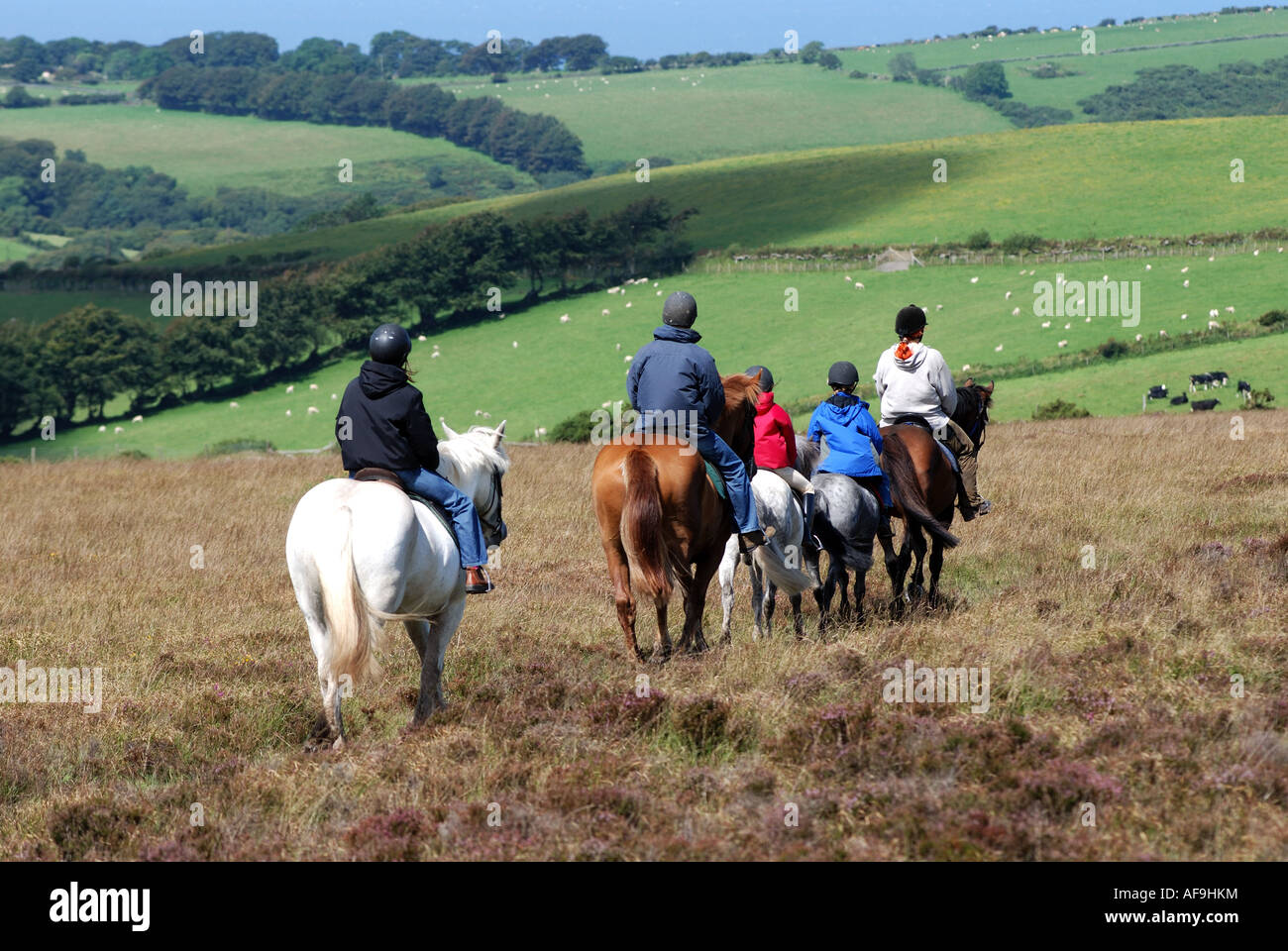 Pony trekkers on Brendon Common, Exmoor, Devon, England, UK Stock Photo ...