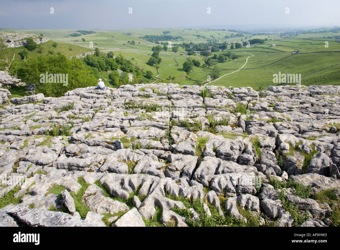 Deeply eroded limestone pavement with fissures and grykes at Malham ...