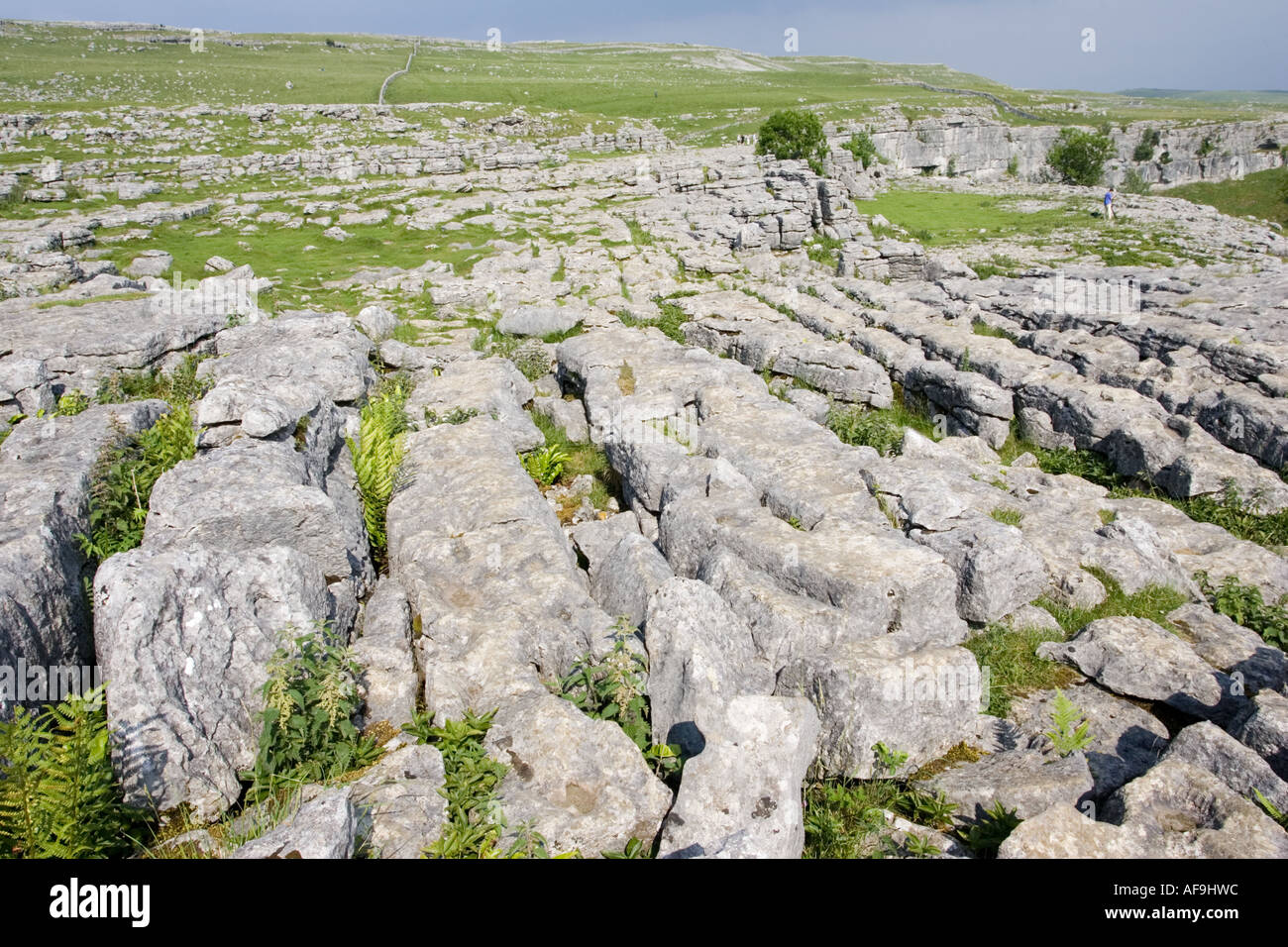Deeply eroded and worn limestone pavement at Malham Cove, Yorkshire ...