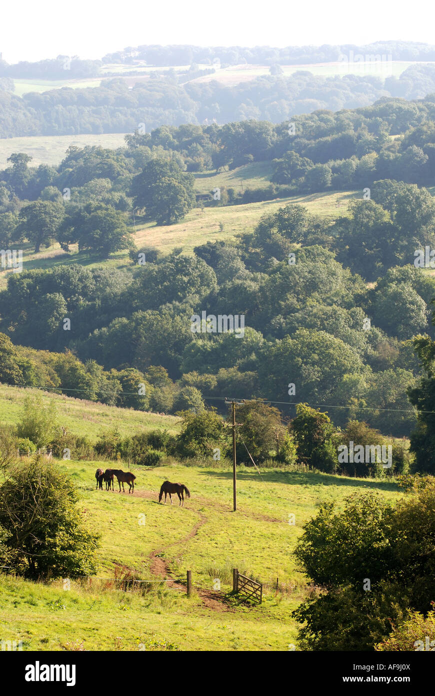 Rolling cotswold hills hi-res stock photography and images - Alamy