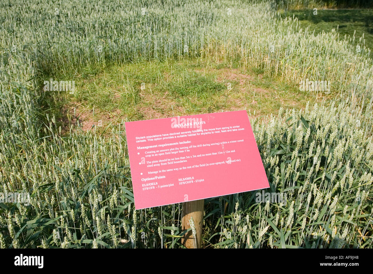 Royal agricultural show stoneleigh hi-res stock photography and images ...