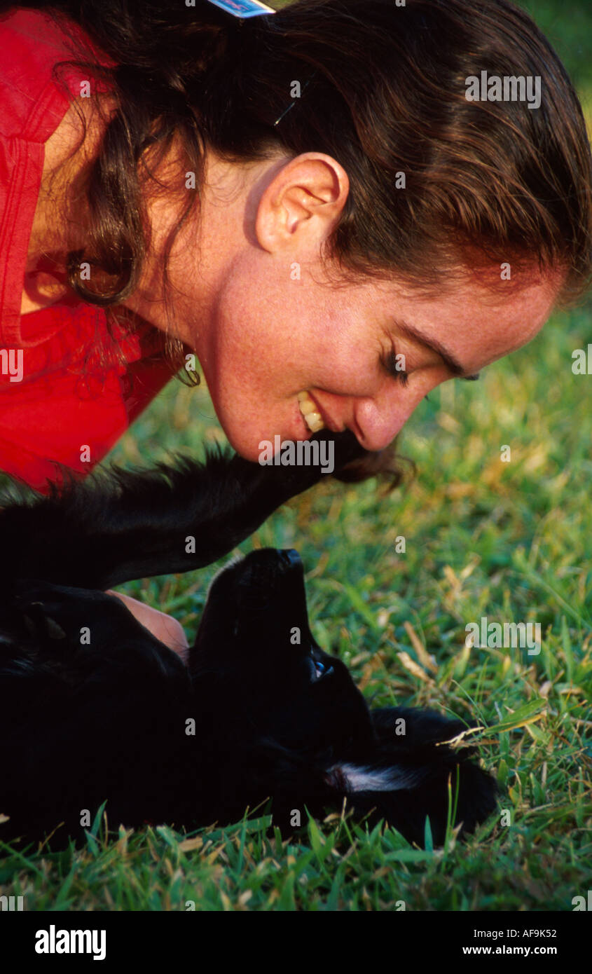 Miami Florida,Humane Society of Greater Miami,free dog dogs training ...