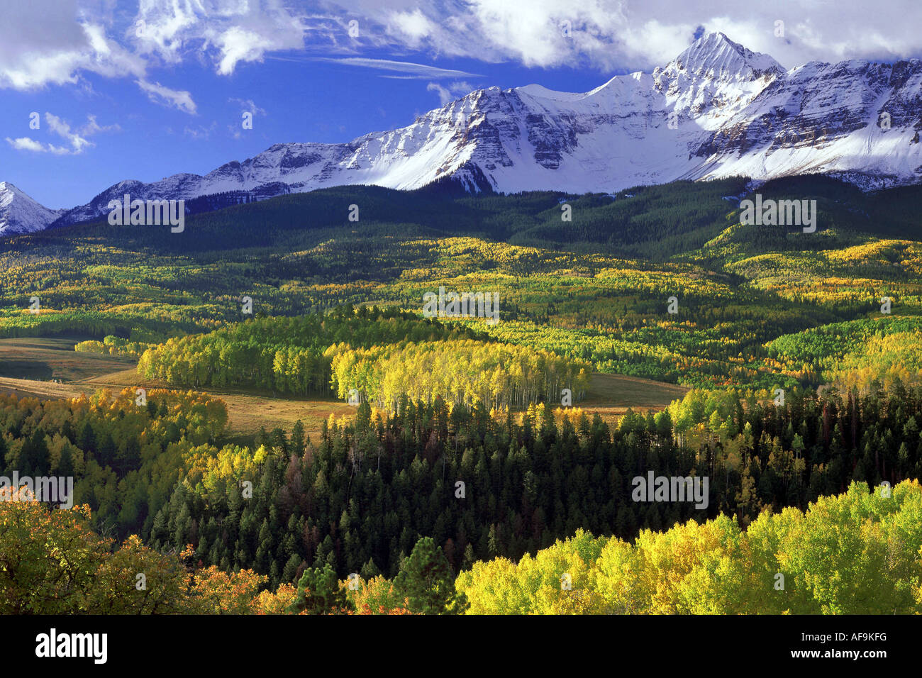 Autumn colours in wilson range hi-res stock photography and images - Alamy