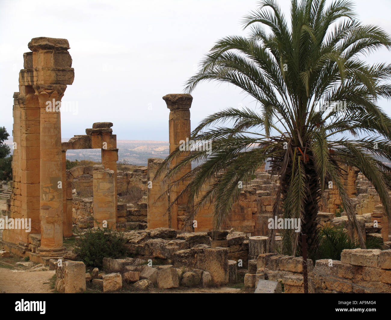 Cyrene hi-res stock photography and images - Alamy