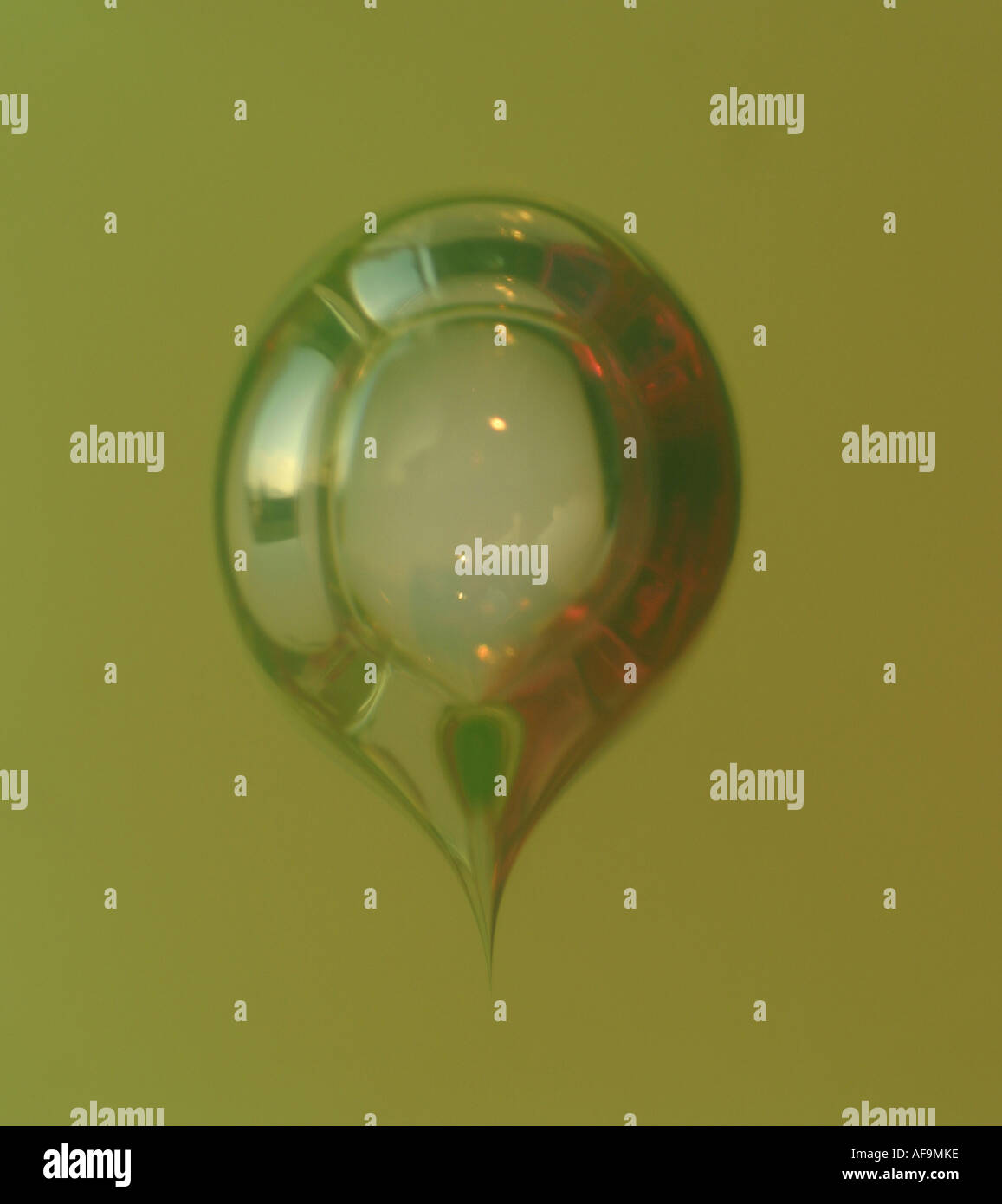 A Stock Photograph of a Bubble in Liquid Stock Photo - Alamy