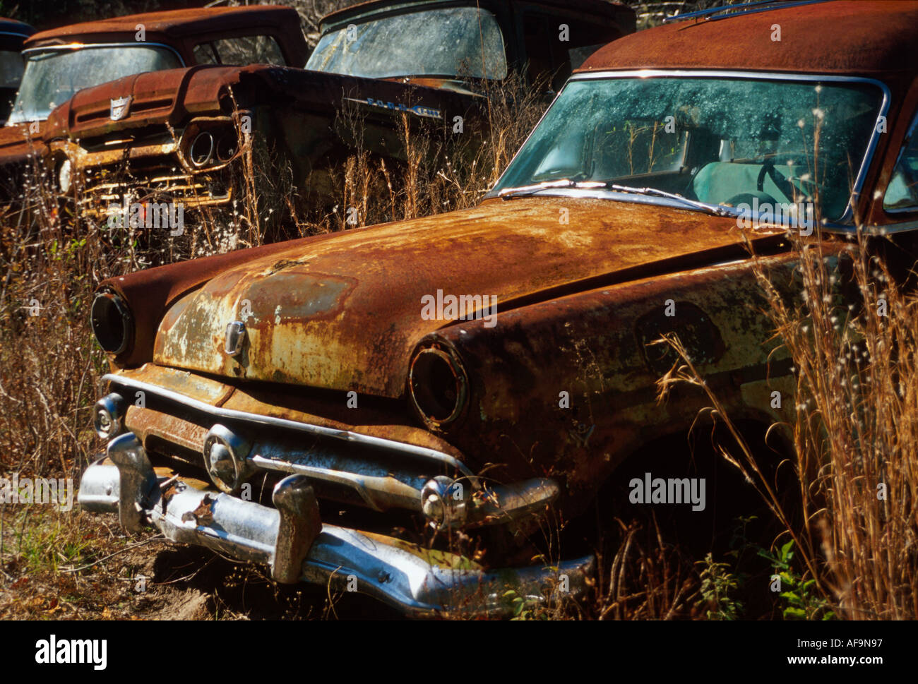 Crawfordville Florida,rusted rusty rusting junked abandoned antique car cars automobile ...