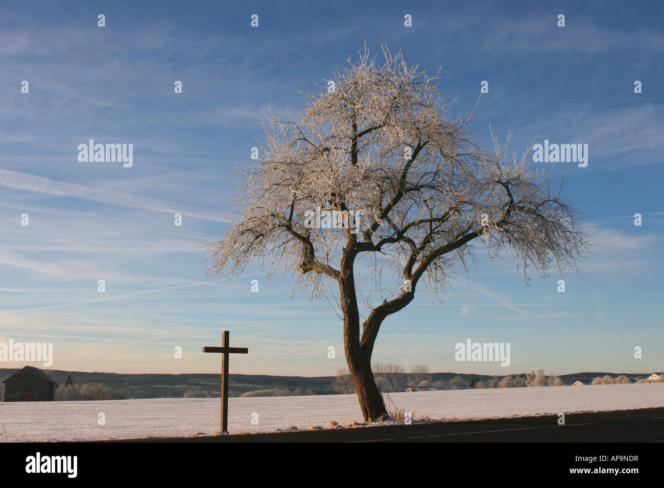 tree and cross in winter Stock Photo - Alamy