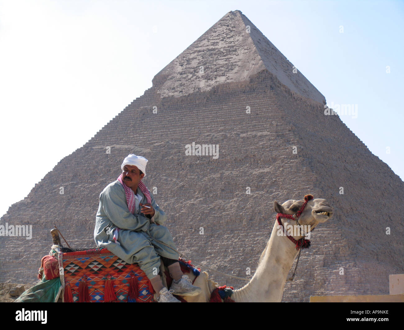Smoking Egyptian man sitting on a camel in front of a pyramid in Giza ...