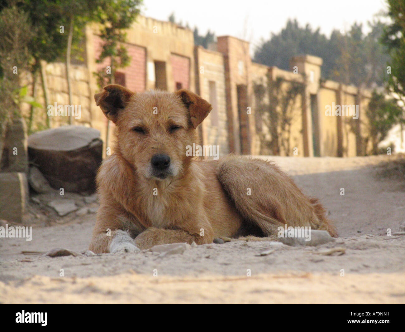 Africa cairo egypt northern cemetery hi-res stock photography and ...