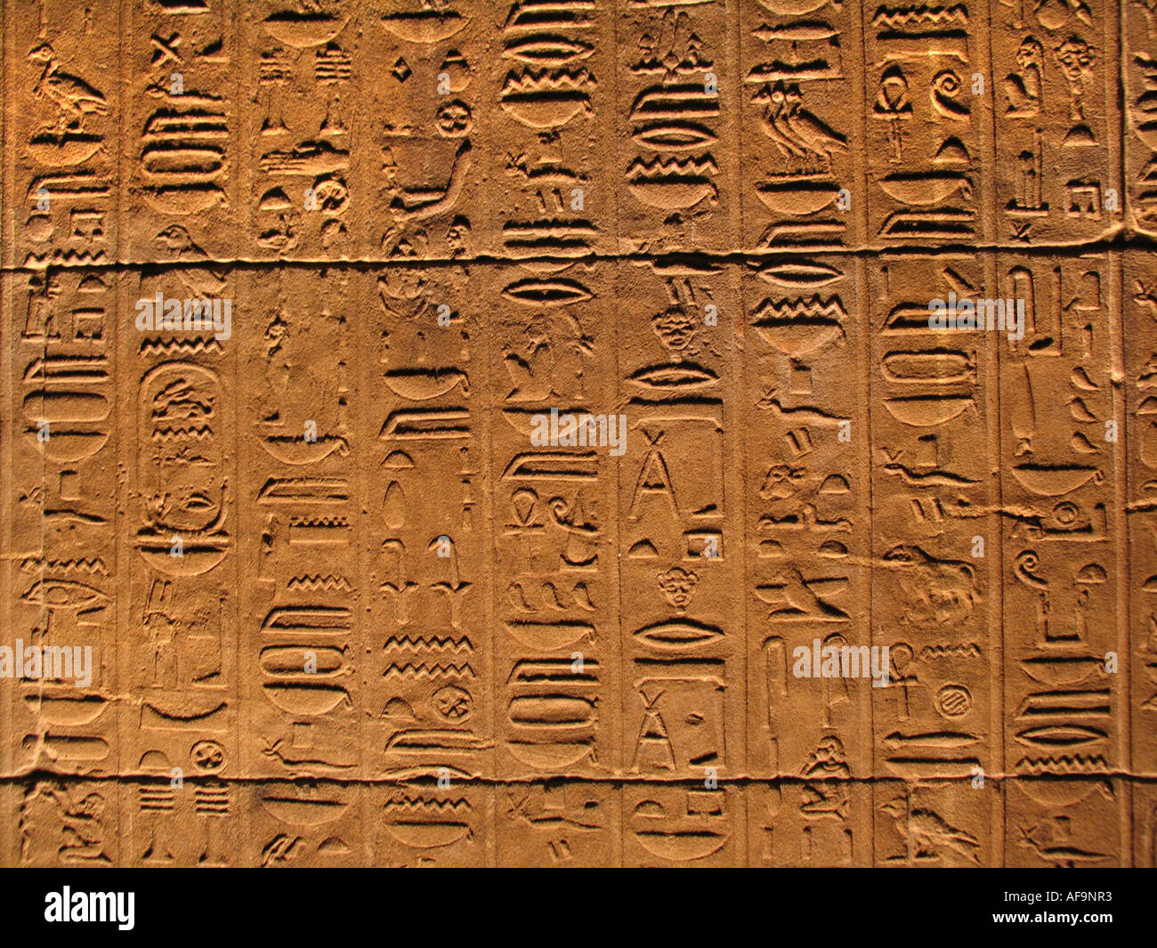 Hieroglyphs on stone in burial chamber in the Valley of the Kings in ...