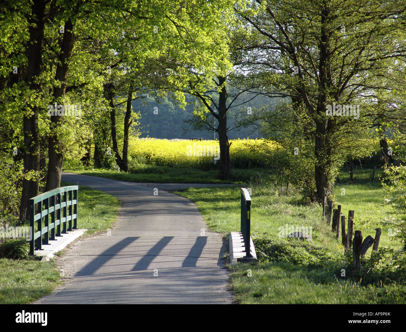 path with footbridge in Lueneburg Heath, Germany Stock Photo - Alamy