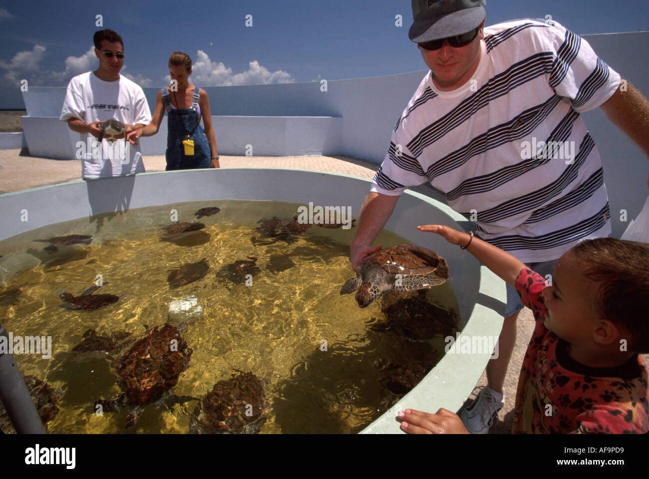 Grand Cayman,Islands,BWI,British West Indies,Caribbean Sea,water ...