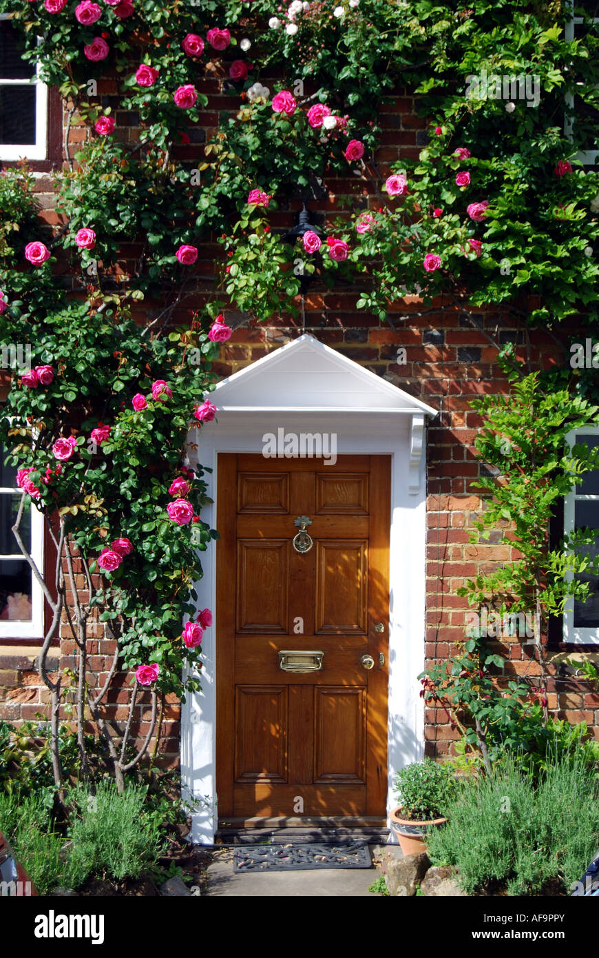 English roses front door hi-res stock photography and images - Alamy