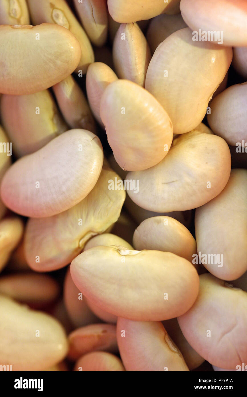 A Stock Photograph of Butter Beans Stock Photo - Alamy