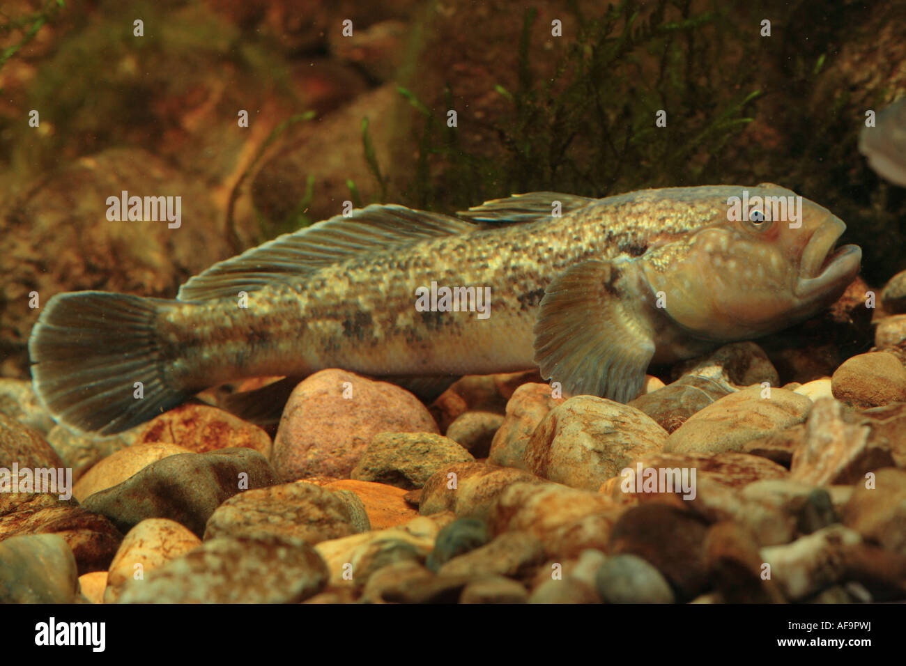 180 mm hi-res stock photography and images - Alamy