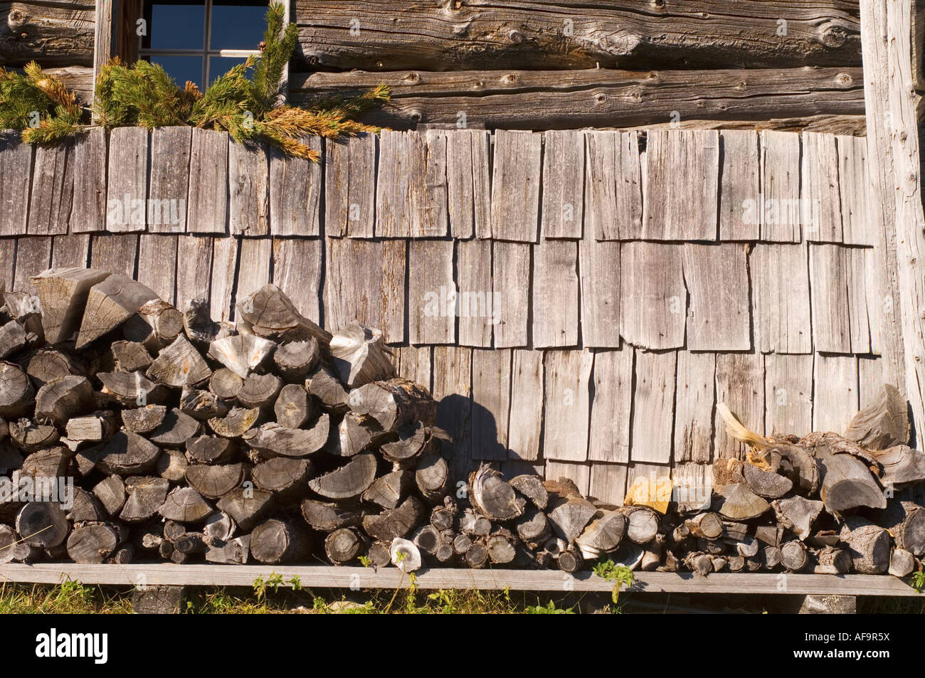 Stack of fire wood, close-up Stock Photo - Alamy