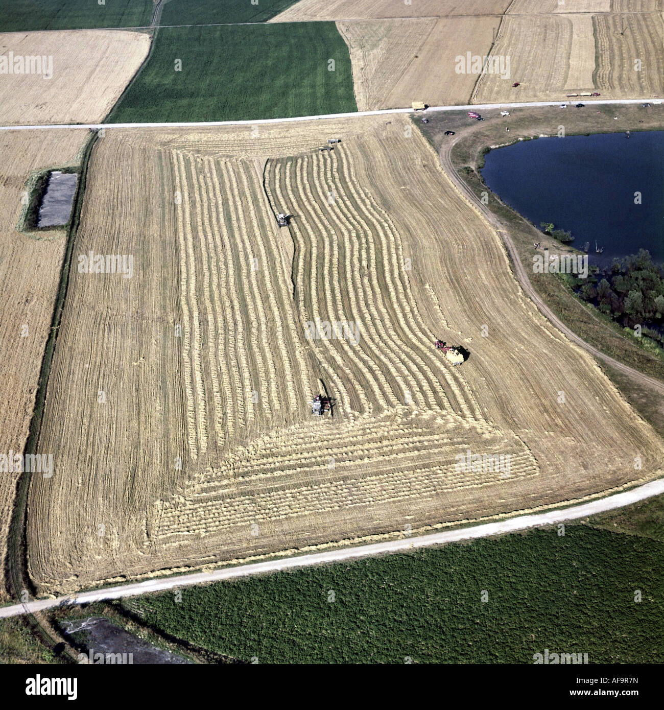 corn harvest near Garching, Germany, Bavaria Stock Photo - Alamy