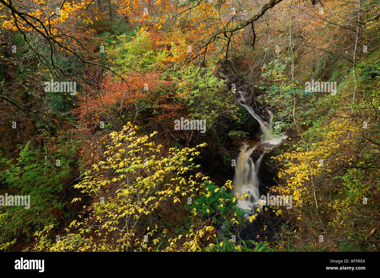 Vivid autumn colours in a variety of trees around a waterfall Stock ...