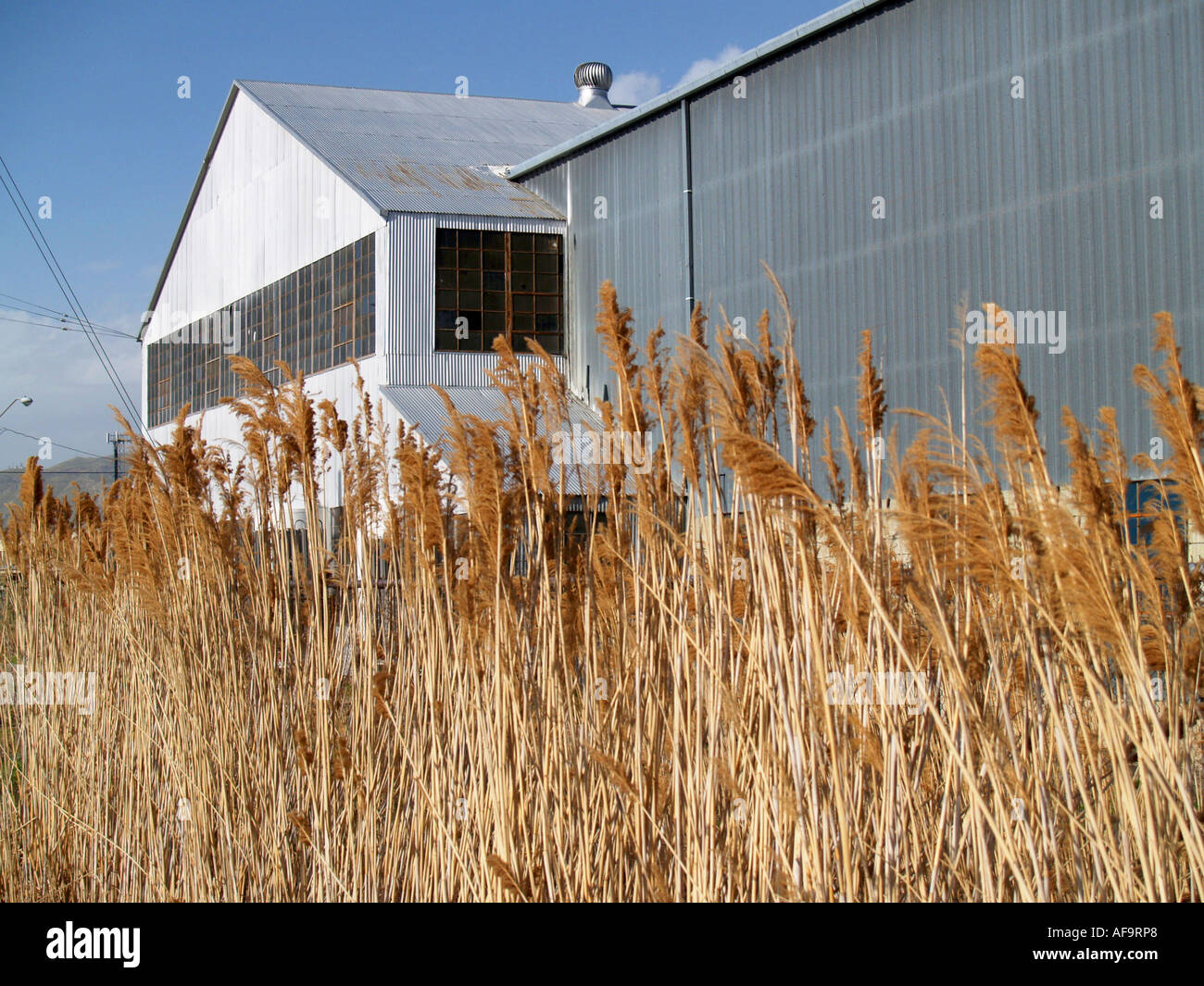 Large industrial building made of corrugated steel Stock Photo - Alamy