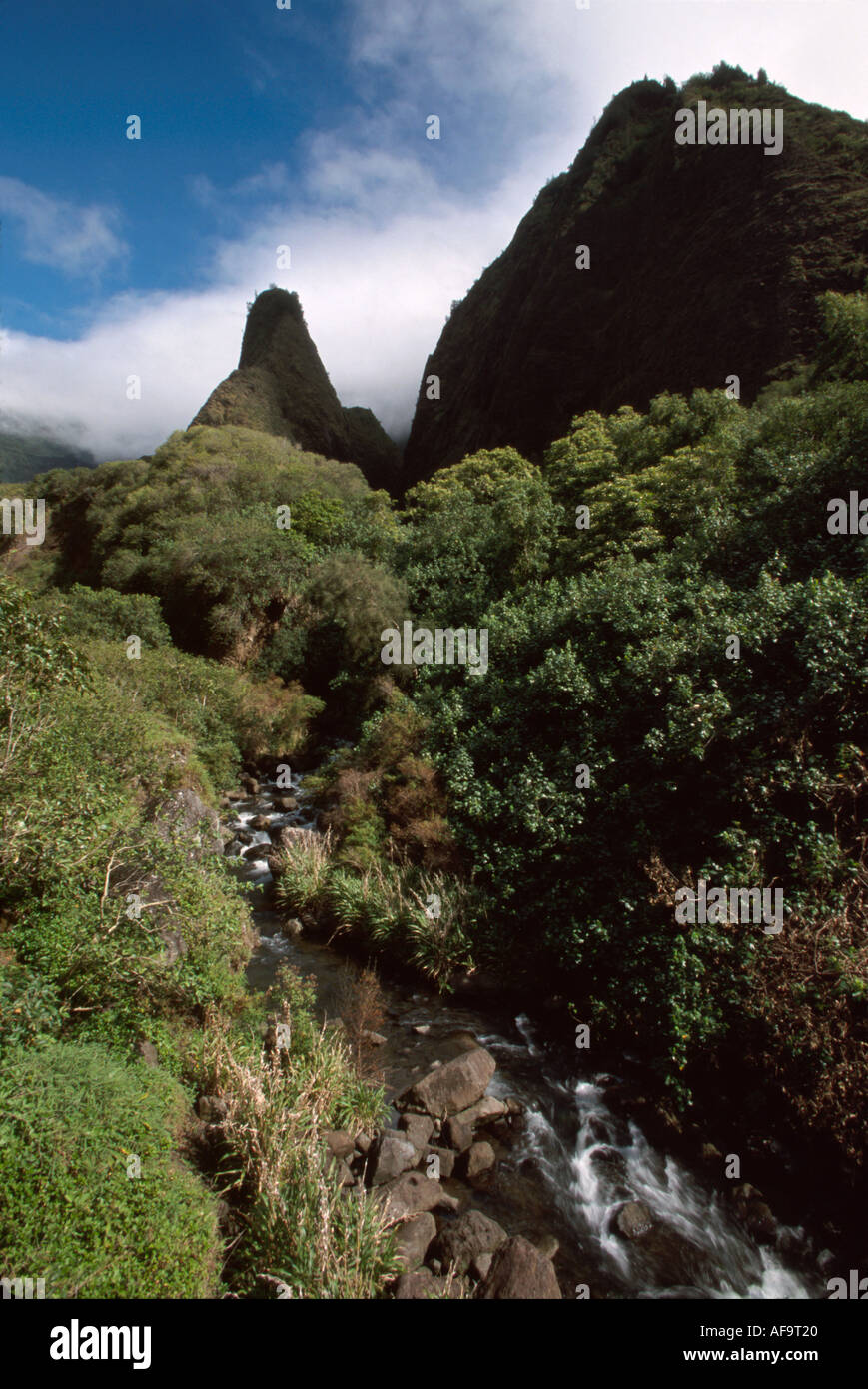 Hawaii,Hawaiian Islands,Maui Iao Valley State Park,public land ...