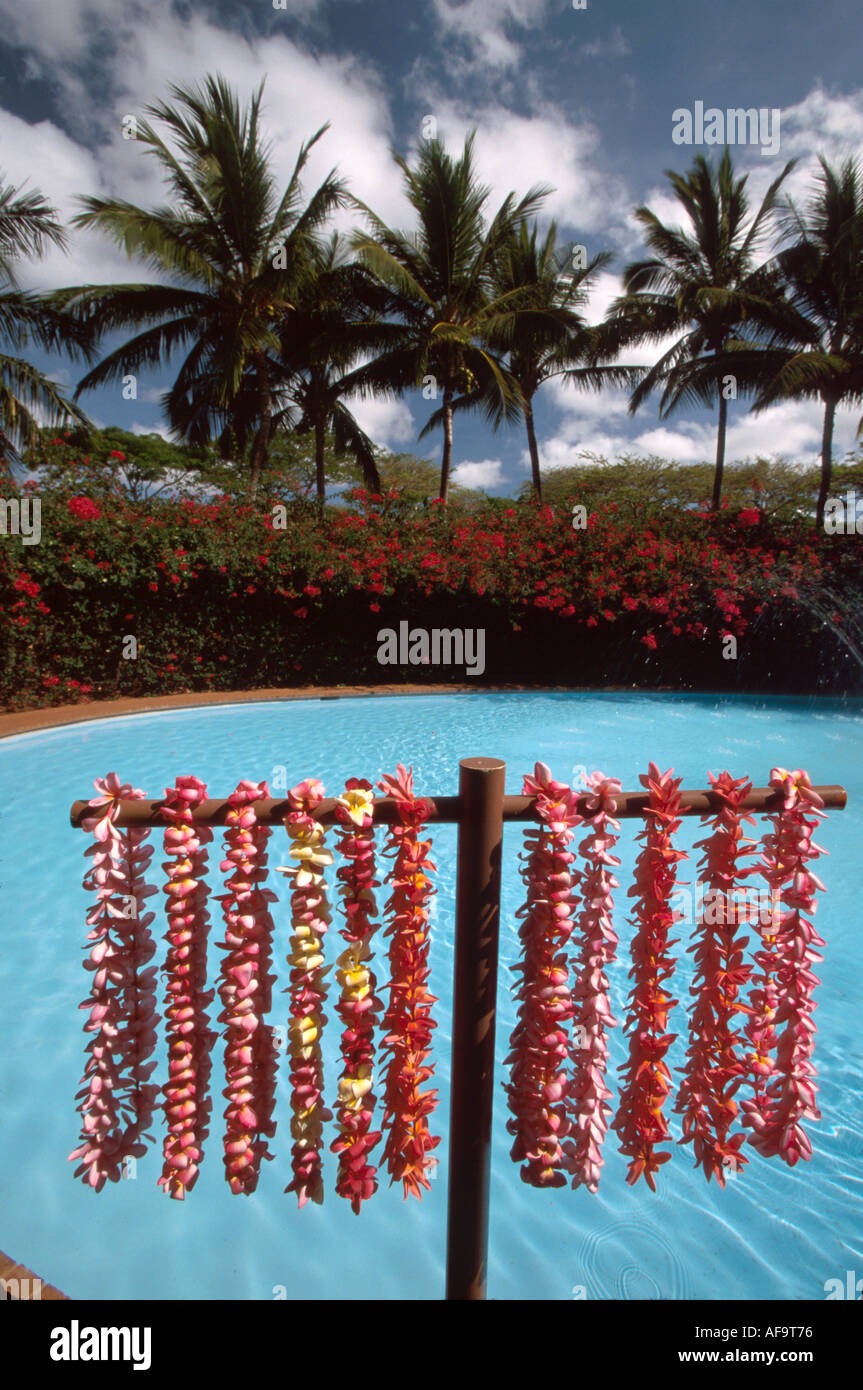 Tropical location hi048 hi-res stock photography and images - Alamy