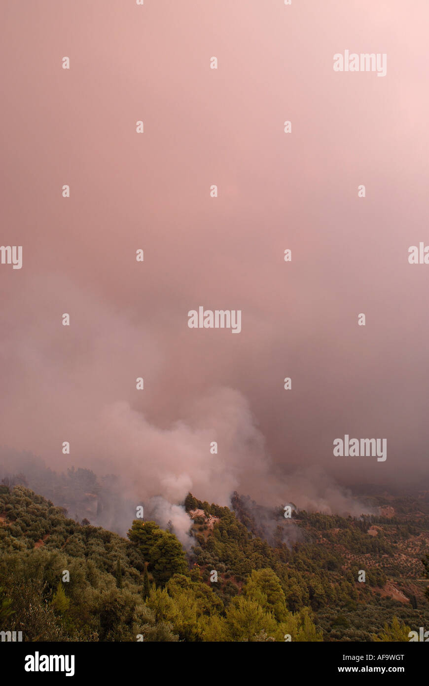 Ecosystems destructions hi-res stock photography and images - Alamy