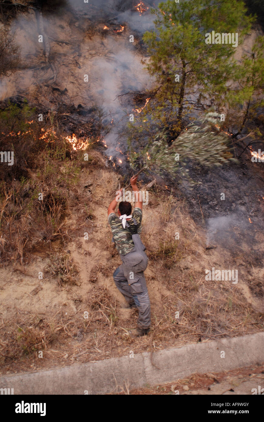 forest fires in Greece in summer 2007, man trying to put out small ...