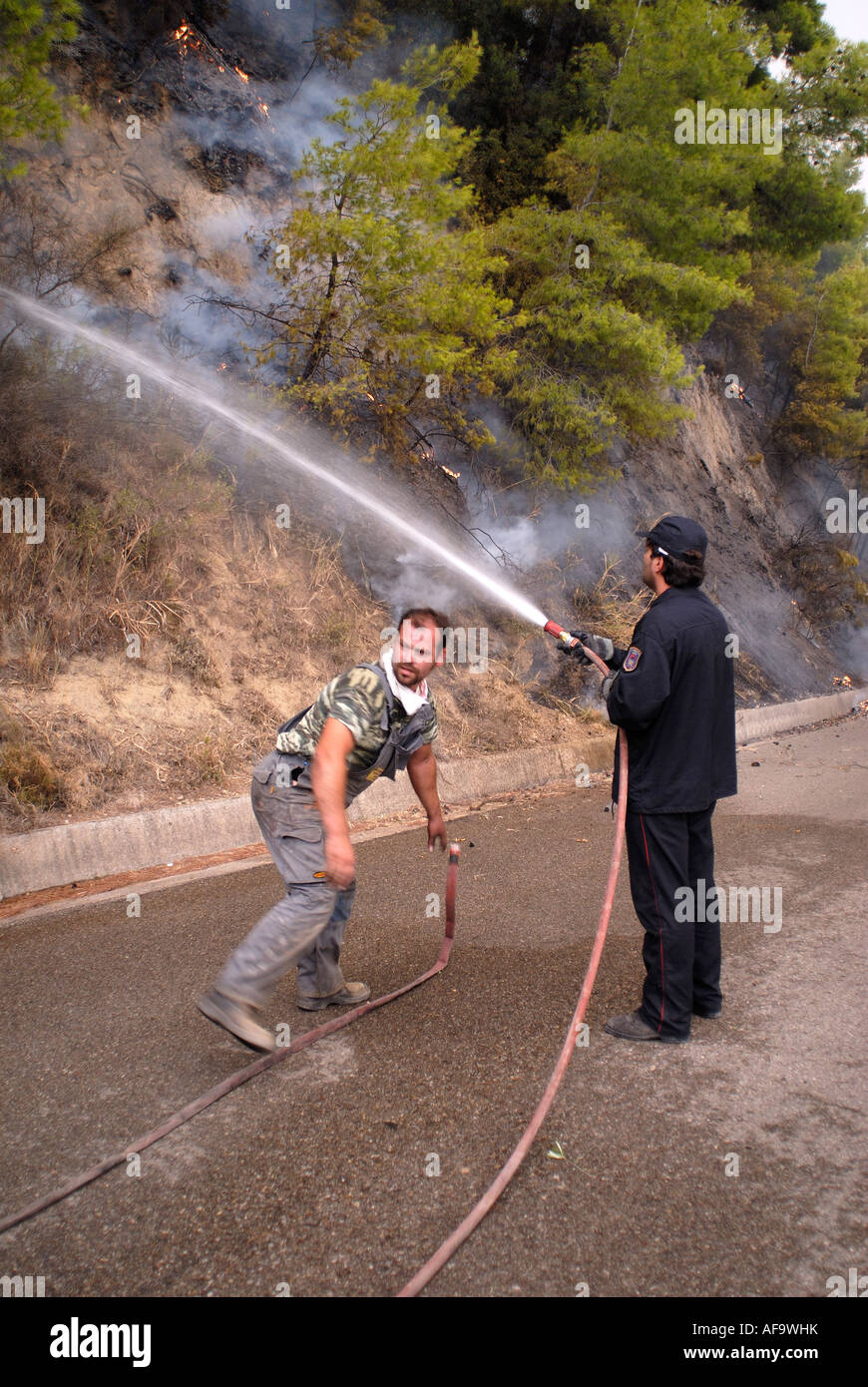 forest fires in Greece in summer 2007, firemen putting out small fires ...