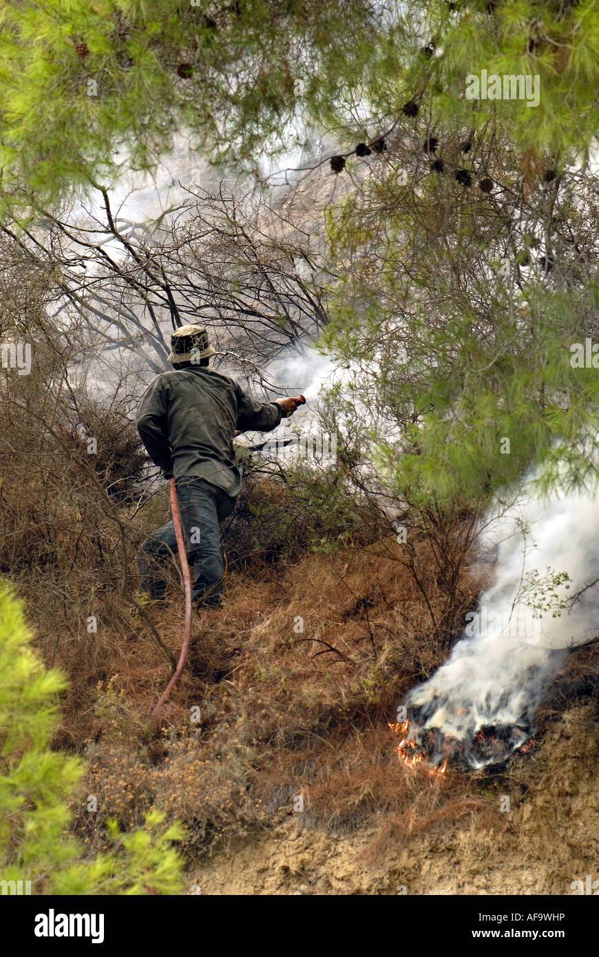 Firefighter small forest fire hi-res stock photography and images - Alamy