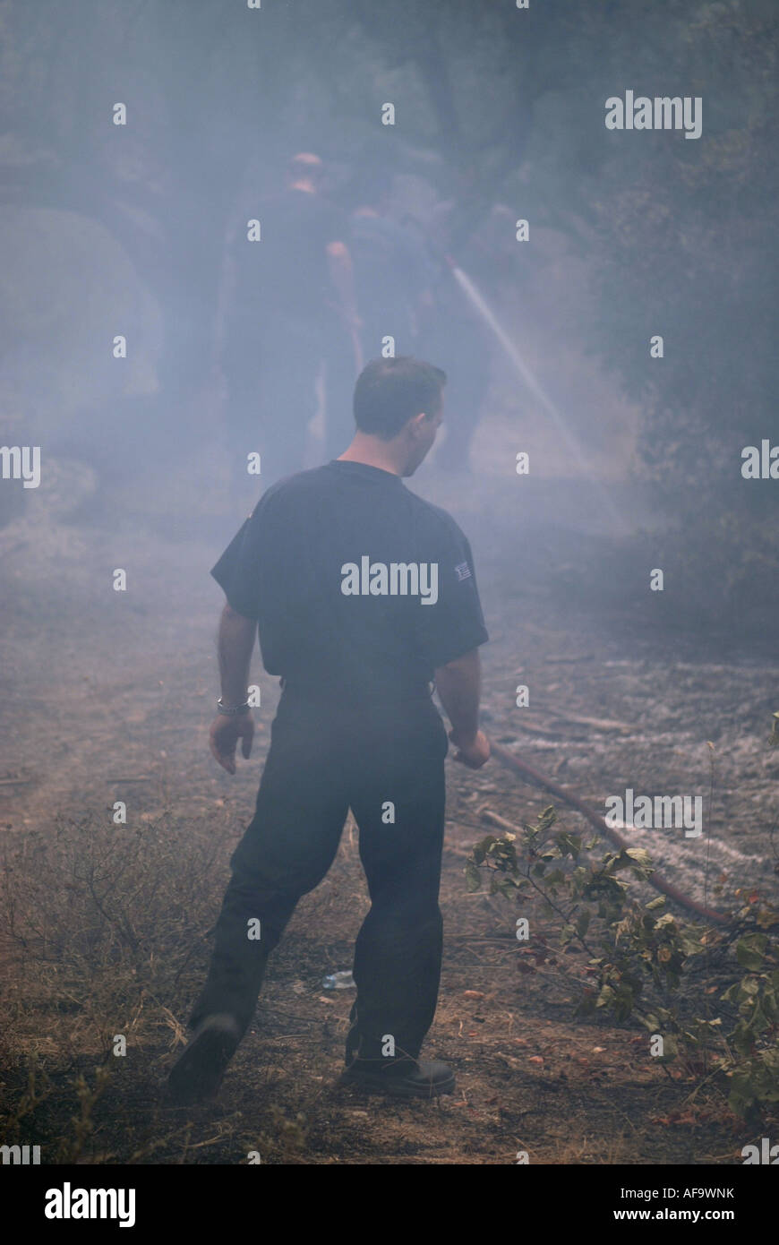 Man putting out fire forest hi-res stock photography and images - Alamy