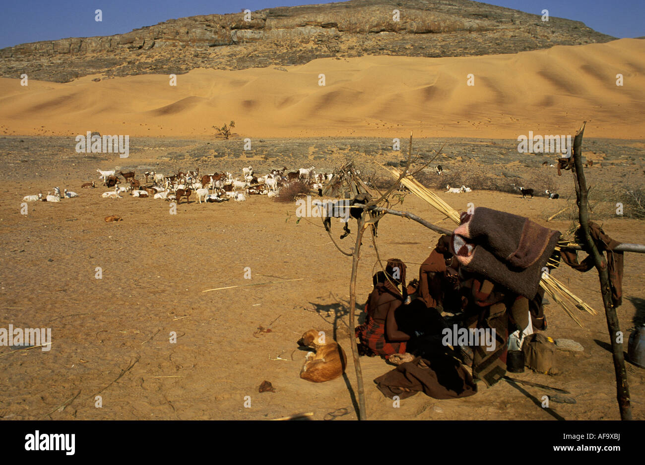 Himba family and dog, with goats in background, Kunene River, Kaokoveld ...