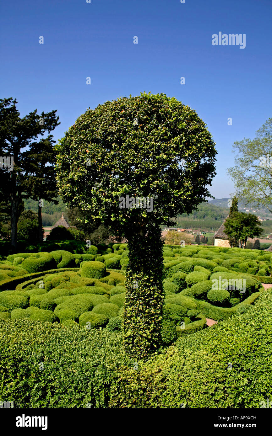 Round shaped leaf hi-res stock photography and images - Alamy