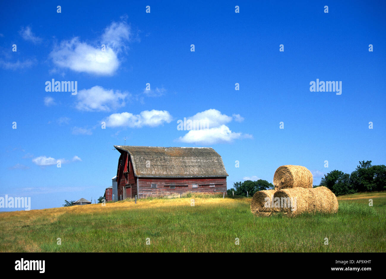 Plains ecology hi-res stock photography and images - Alamy