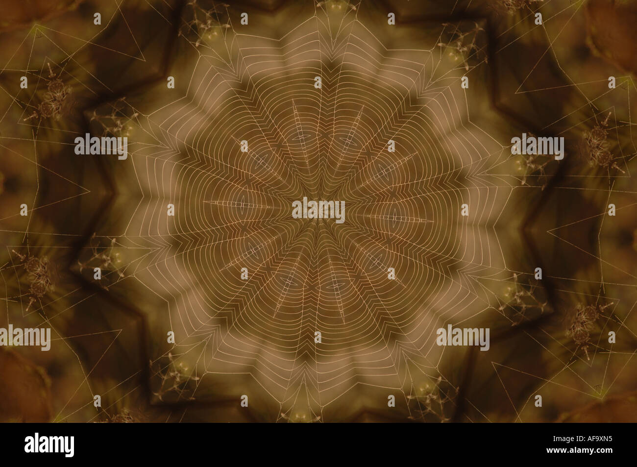 Created from flower petals hi-res stock photography and images - Alamy