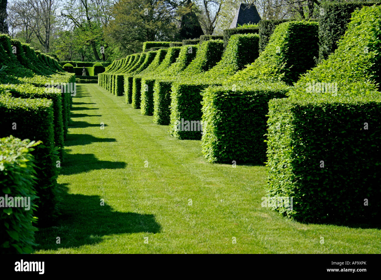 schrubs shaped in perspective in the garden of eyrignac france Stock ...