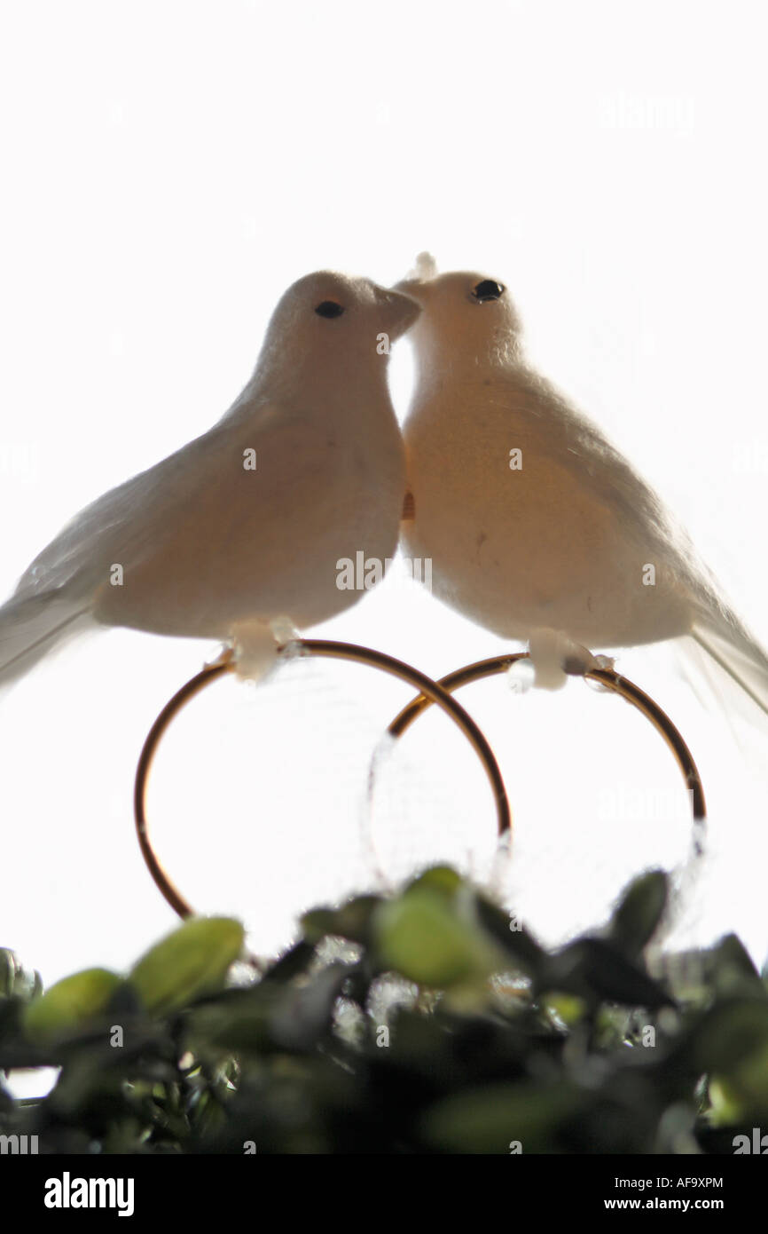 Doves with wedding rings hi-res stock photography and images - Alamy