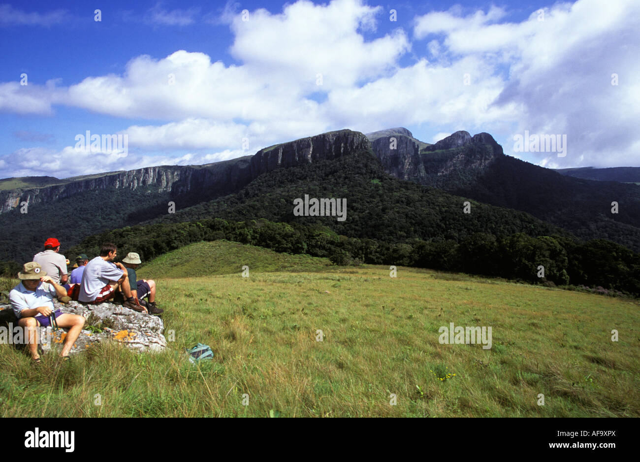 Serala hi-res stock photography and images - Alamy
