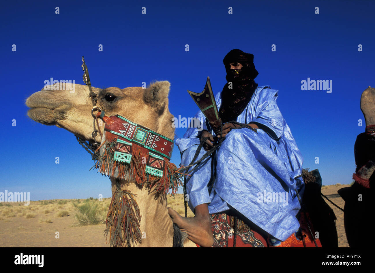 Tuareg man riding camel Timbuktu; Mali Stock Photo - Alamy