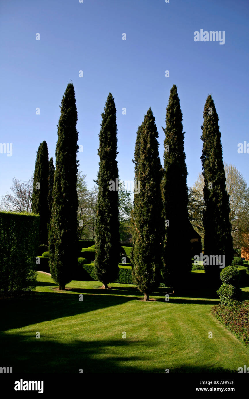 cyprus trees in the gardens of eyrignac france Stock Photo - Alamy
