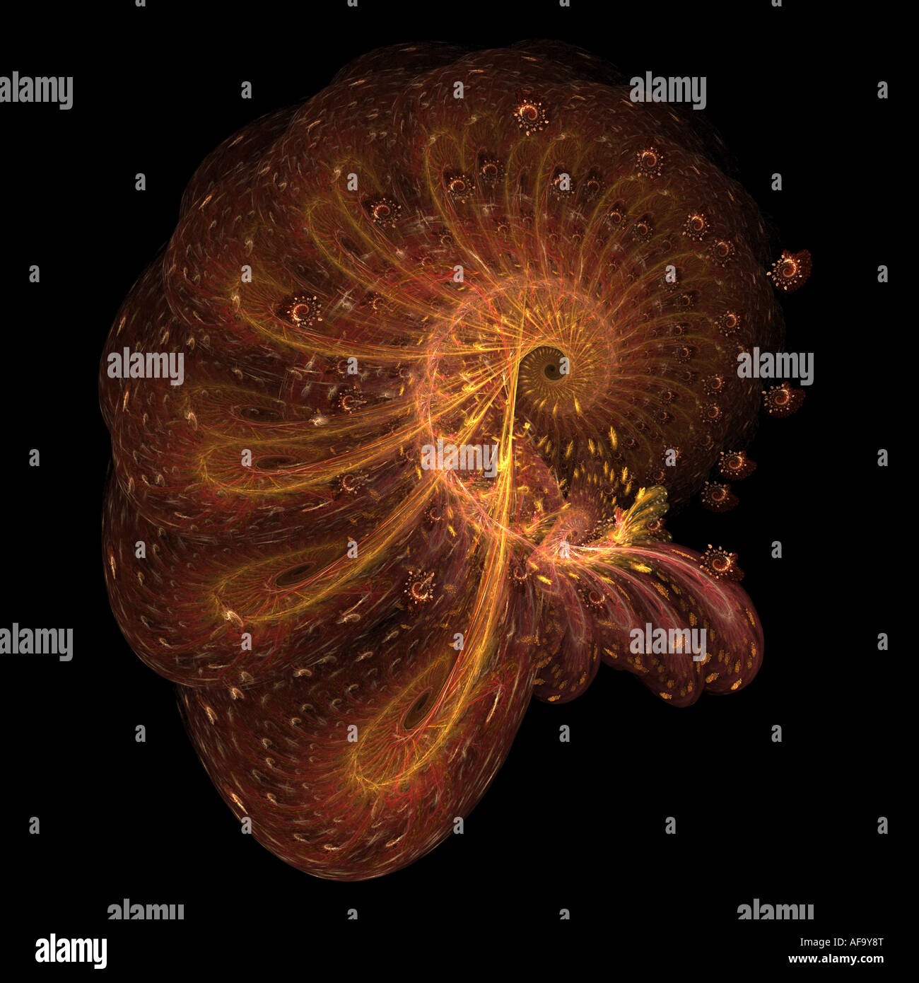 Pseudopods High Resolution Stock Photography and Images - Alamy